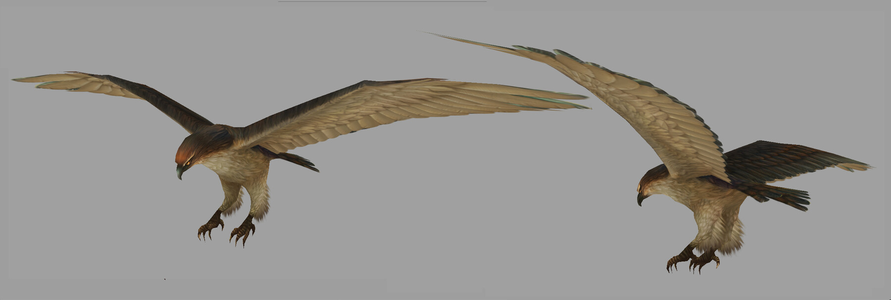 ArtStation - Low poly 3D Monster - Hawk | Game Assets