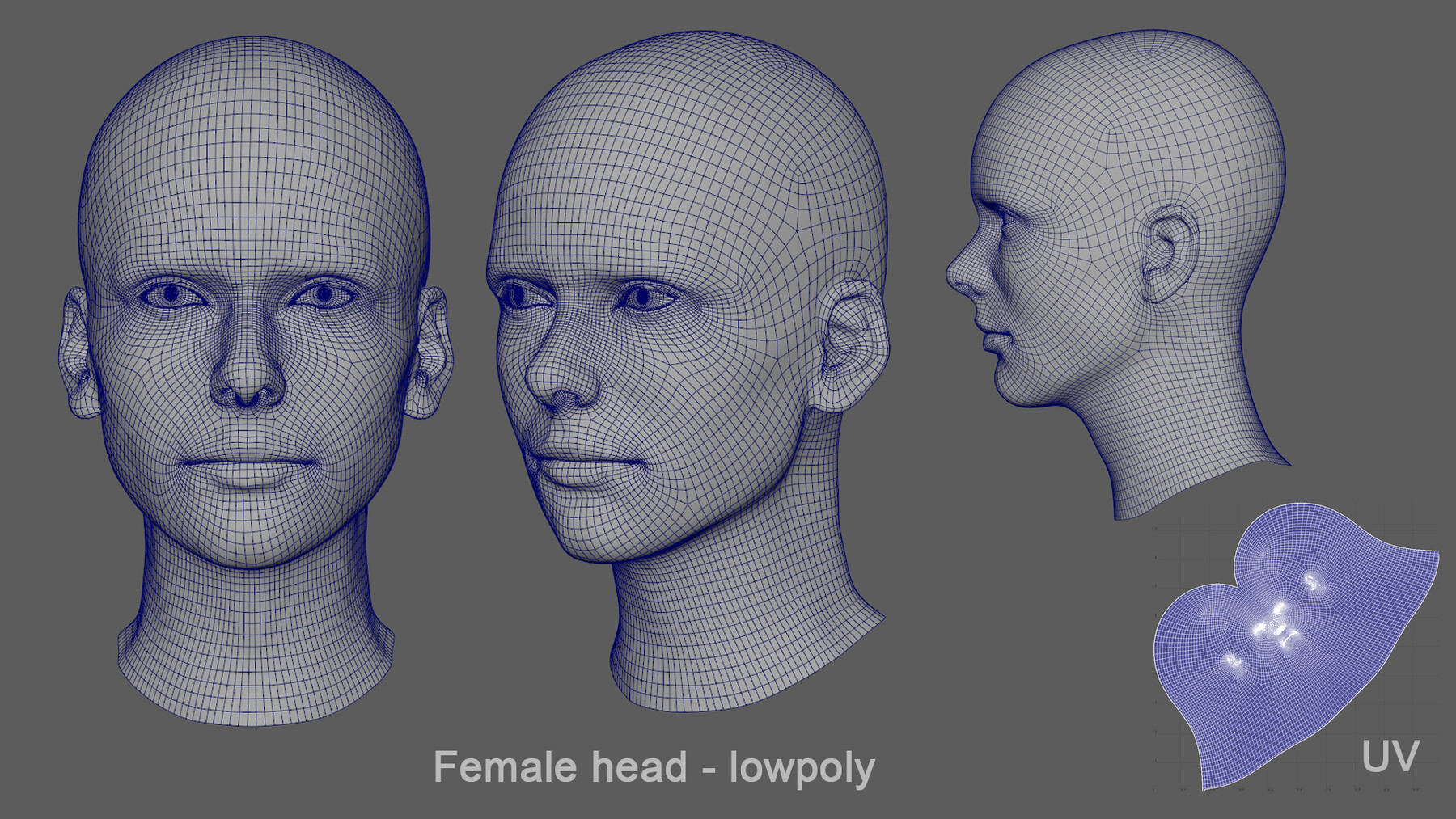ArtStation - Realistic Female Head Highpoly & Lowpoly (topology for ...