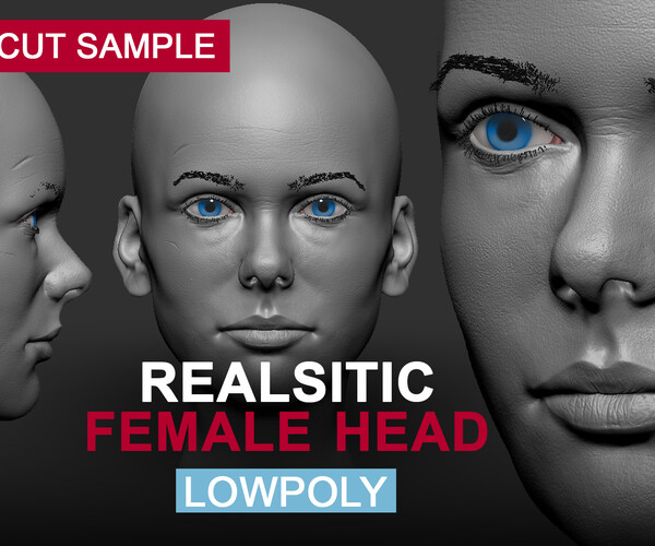 ArtStation - Realistic Female Head Highpoly | Game Assets