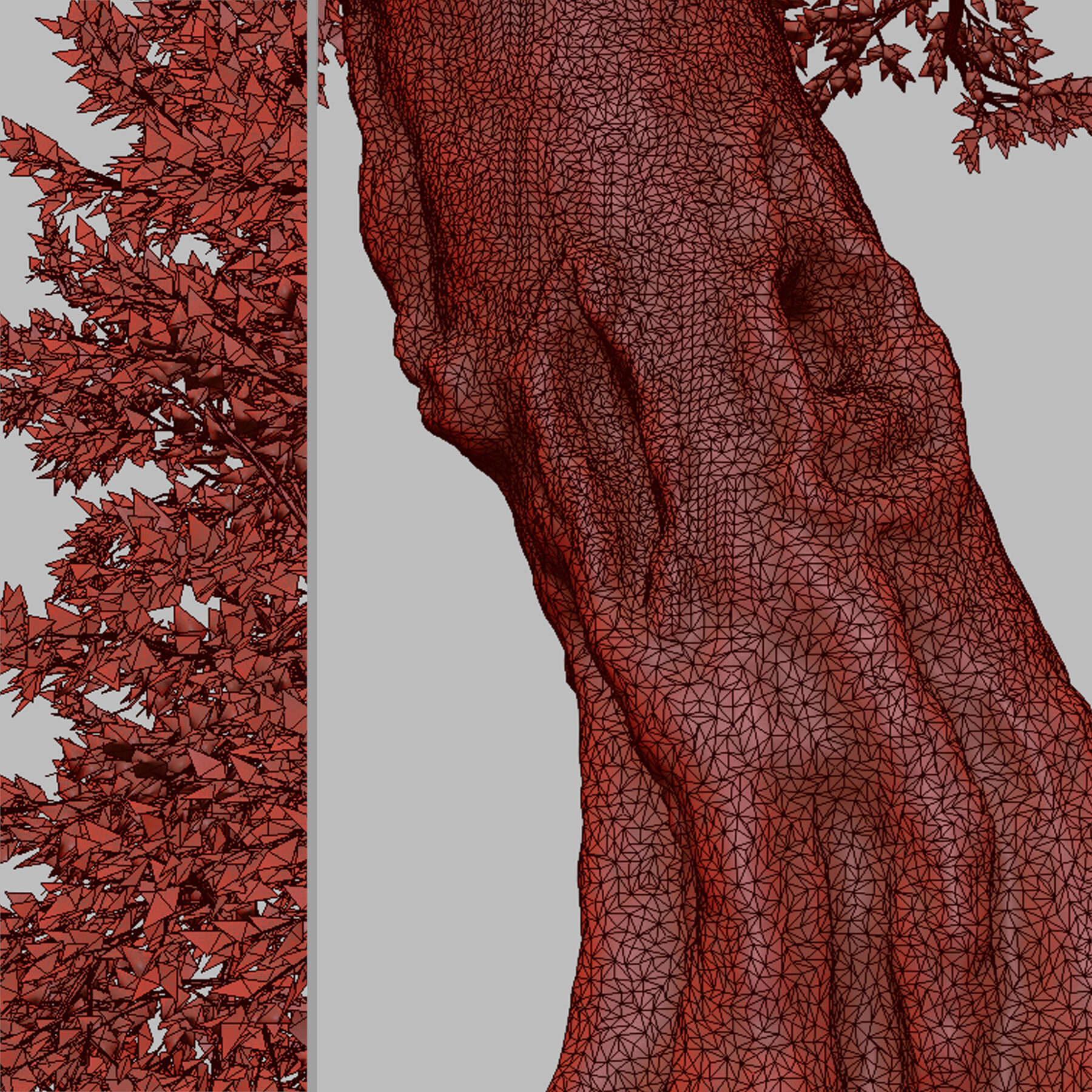ArtStation - Set of Phellodendron amurense Tree (Amur cork) (2 Trees ...