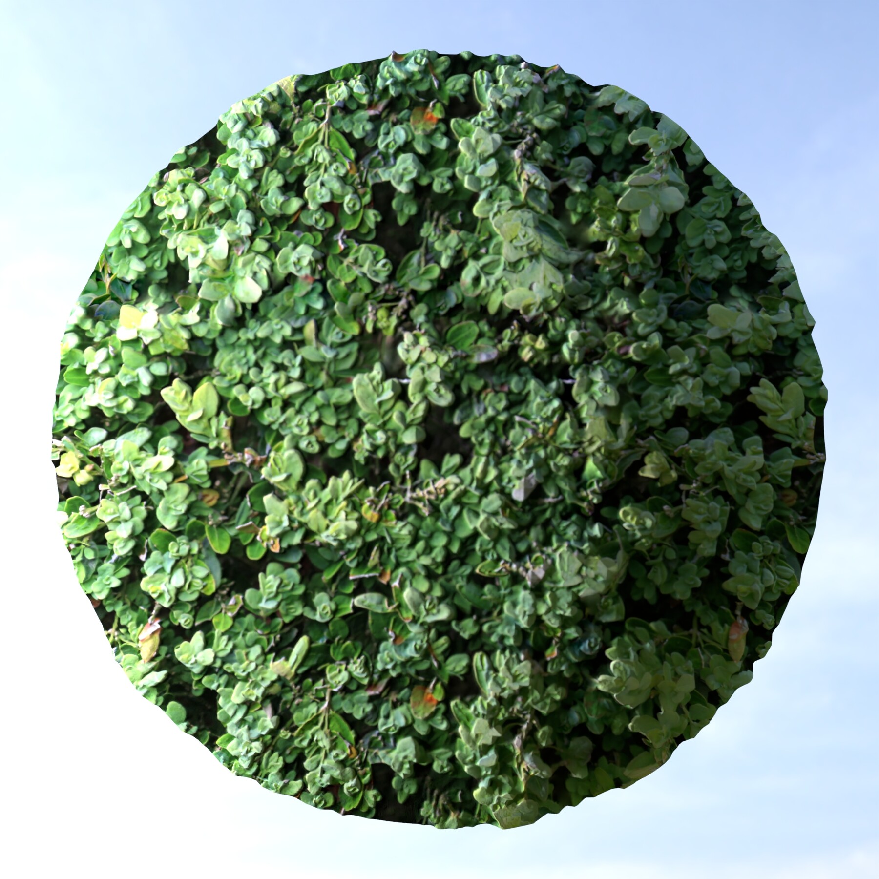 ArtStation - Bush 1 PBR Material | Game Assets