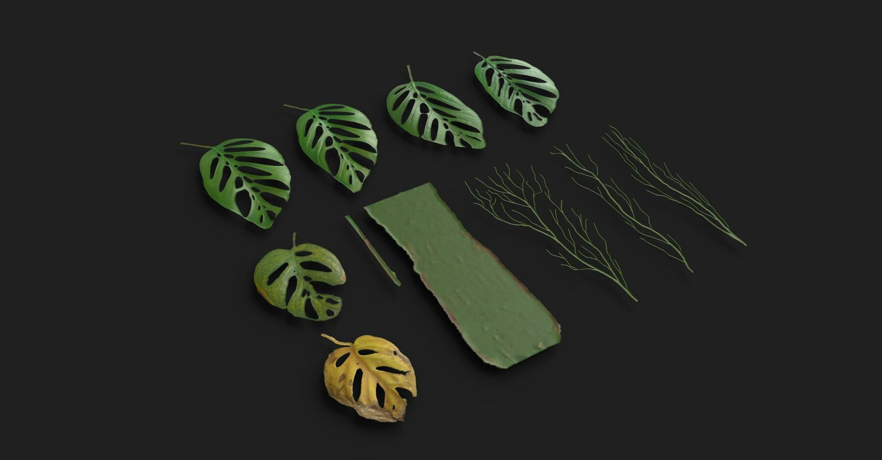 ArtStation - Tropical Plants Package | Resources