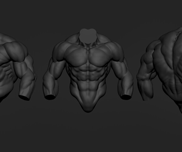 ArtStation - Torso Basemesh | Game Assets