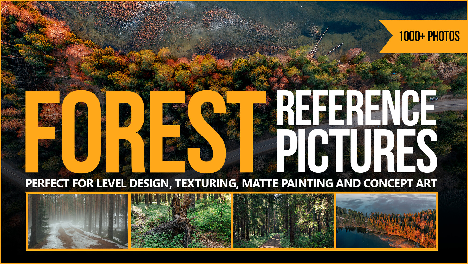 Grafit Studio - 1000+ Forest Reference Pictures