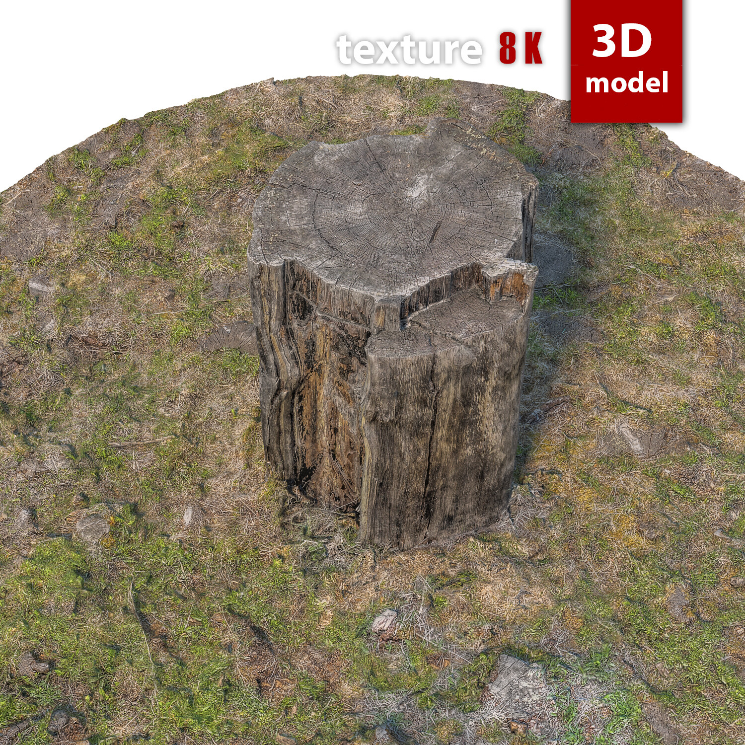 ArtStation - 349 Stump | Resources
