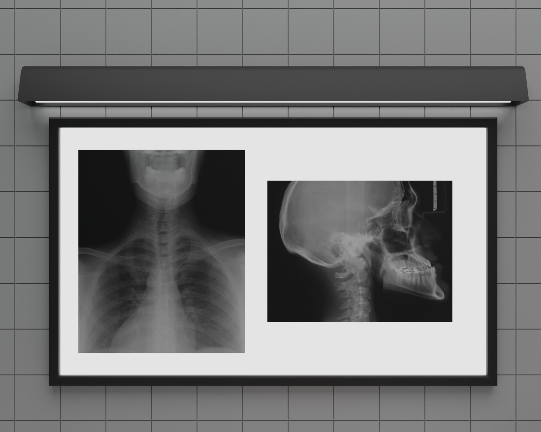 ArtStation - Morgue | Game Assets