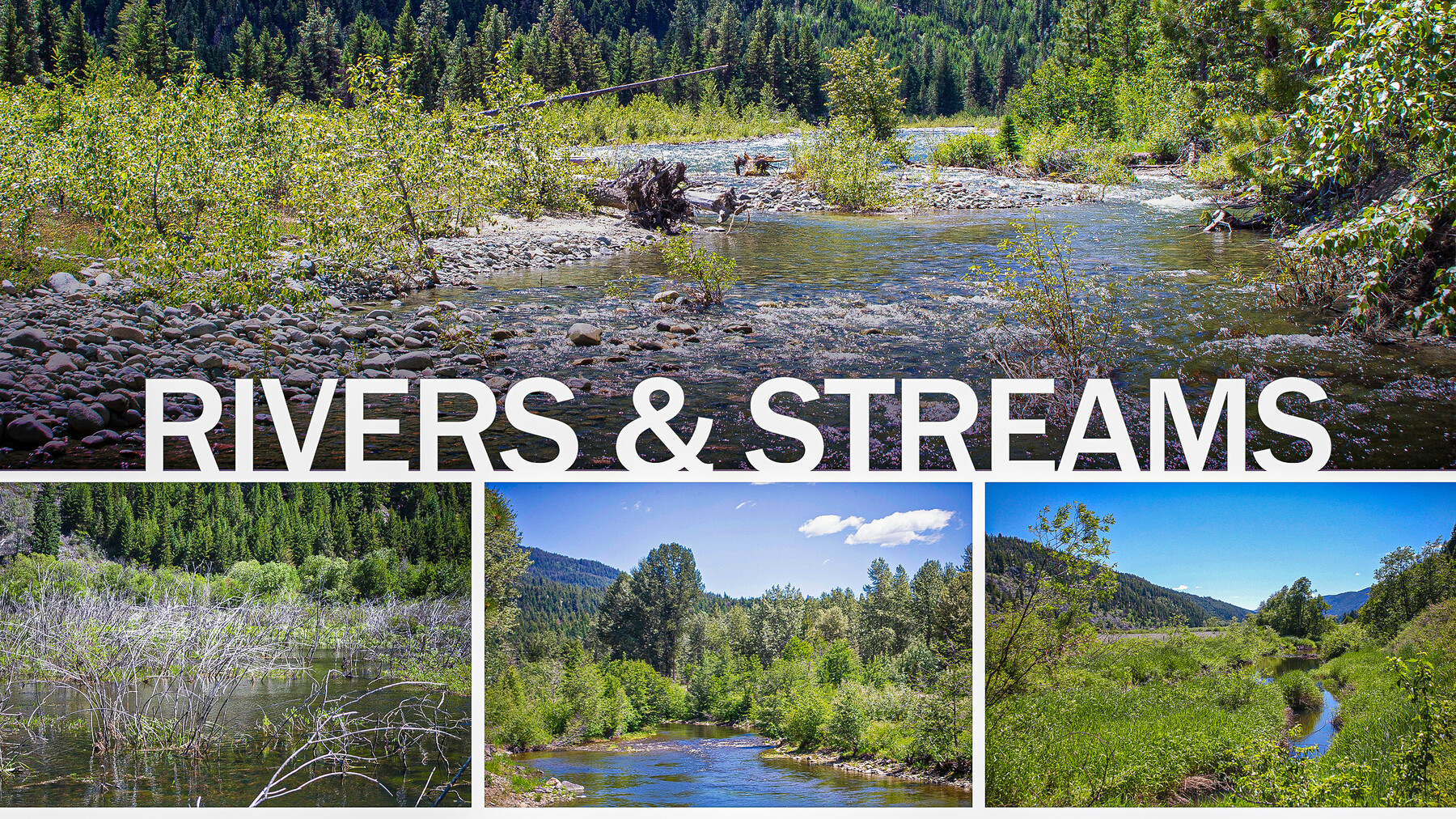 ArtStation - Rivers and Streams Photo Reference | Resources