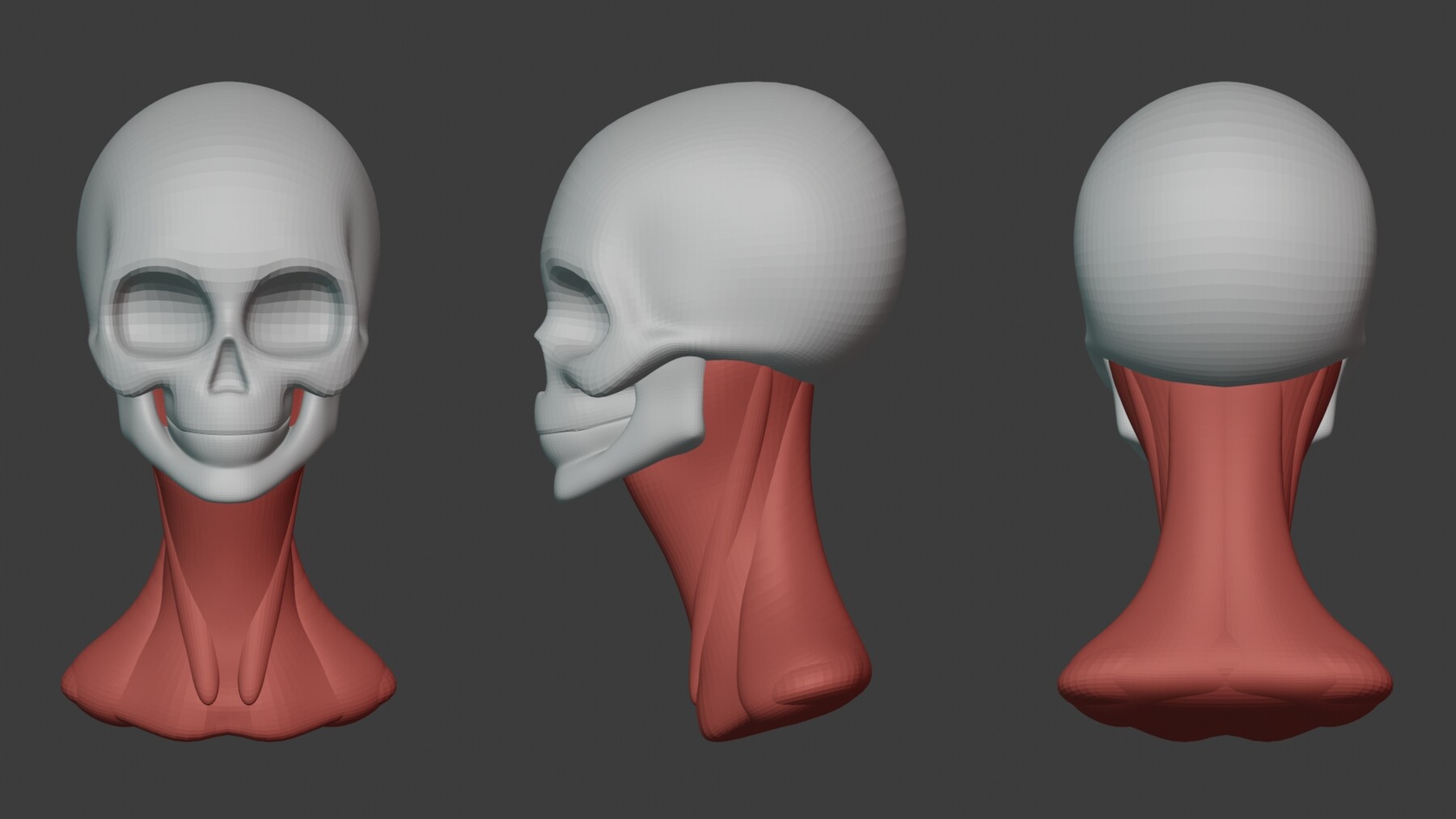 ArtStation - Stylized Head *Anatomy | Resources