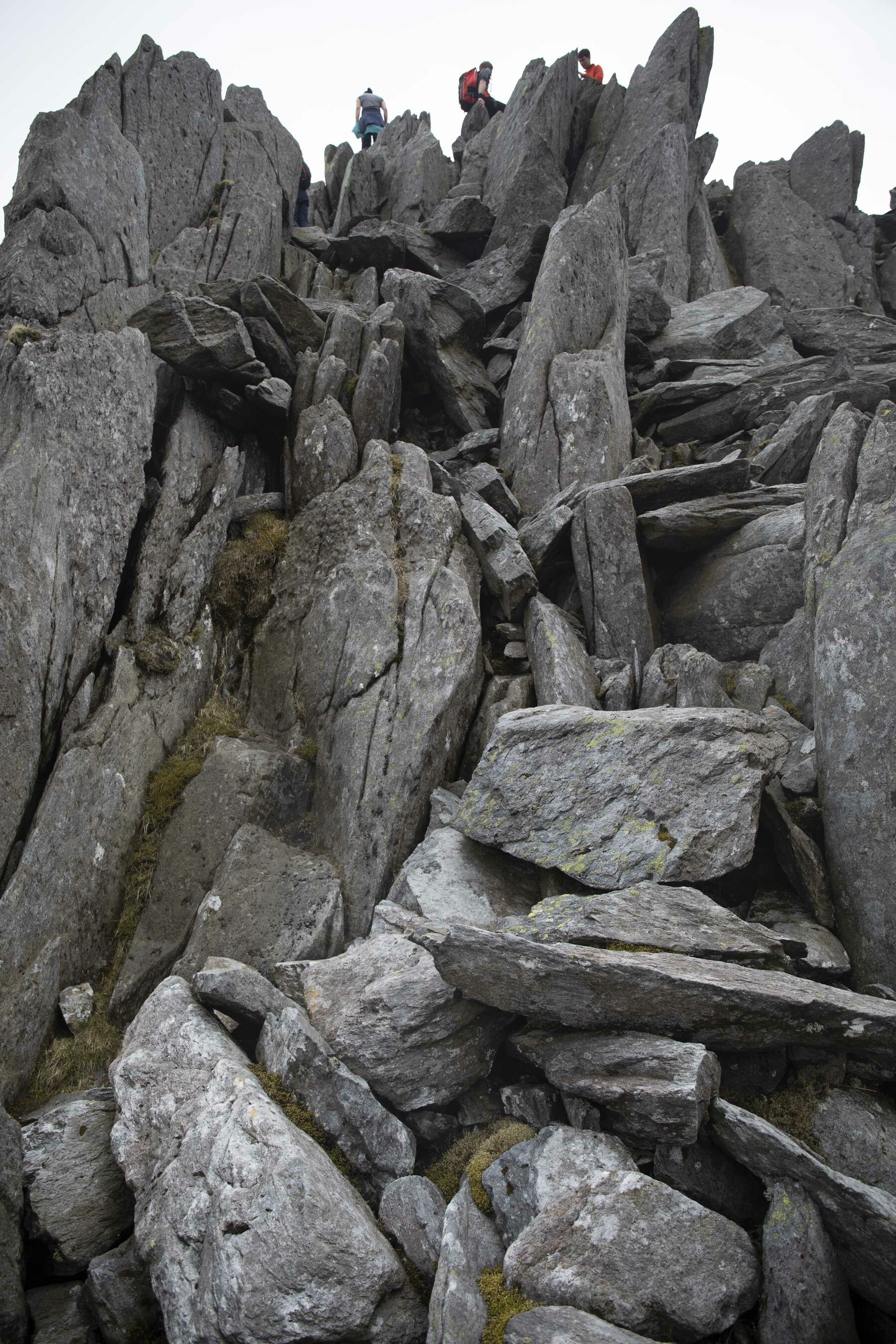 ArtStation - ROCK PACK | Resources