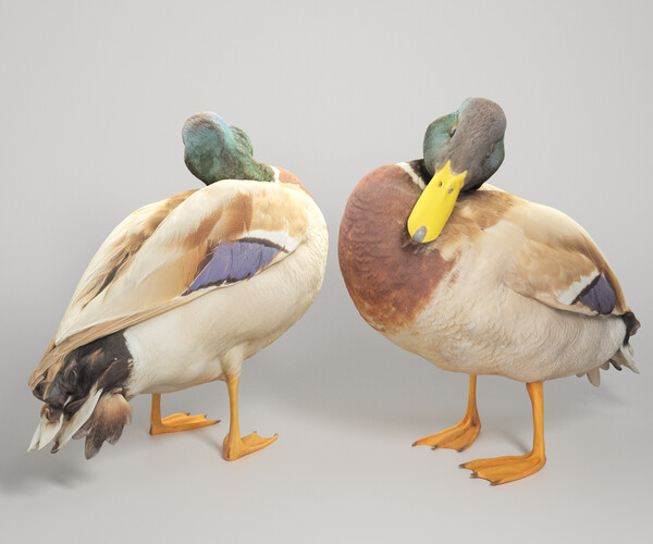 ArtStation - Duck 16 | Game Assets