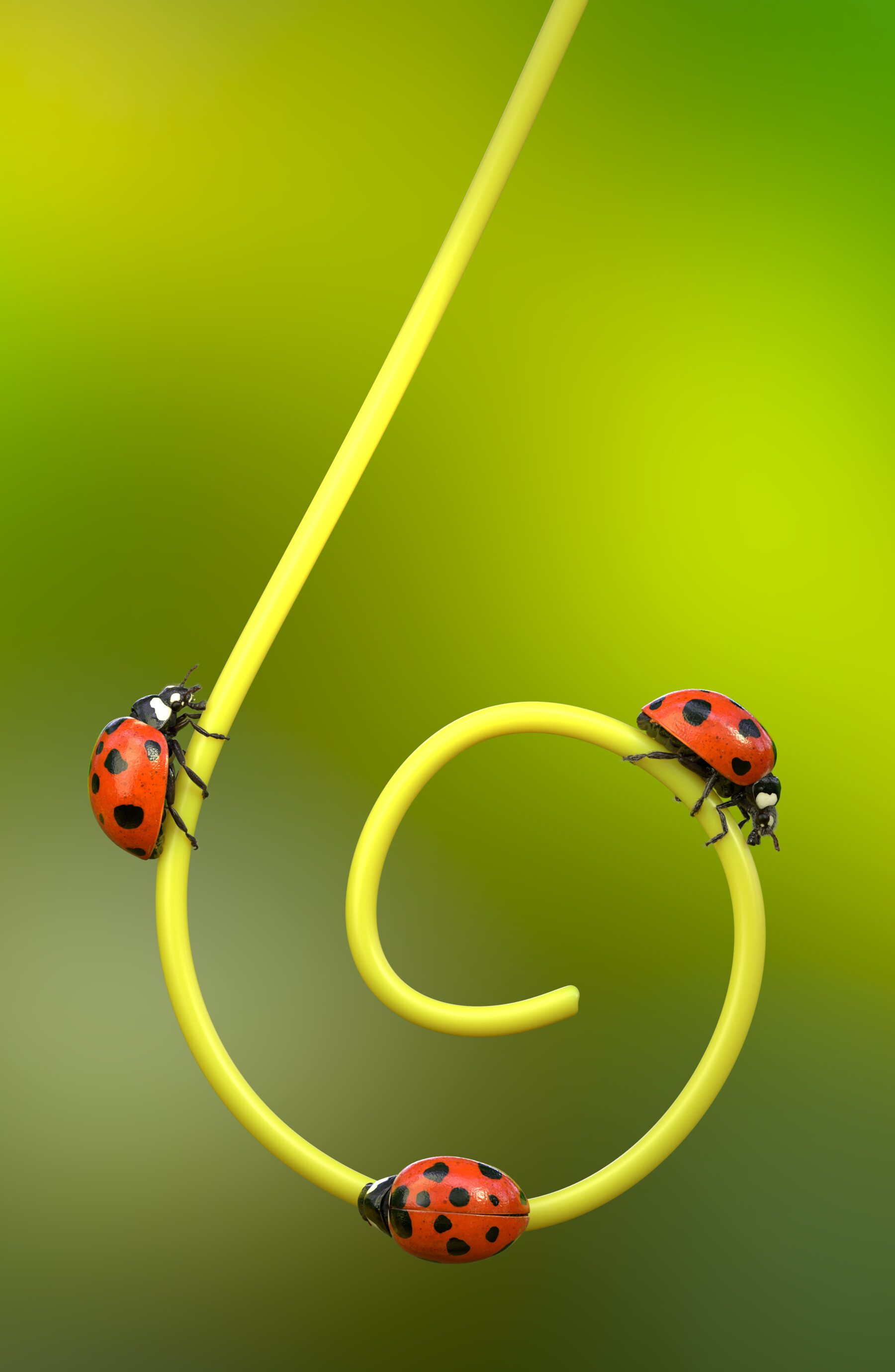 ArtStation - Hyper Realistic Ladybug Rig | Resources
