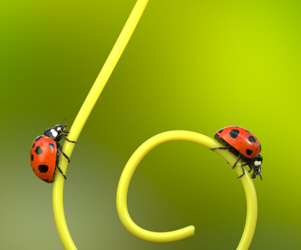ArtStation - Hyper Realistic Ladybug Rig | Resources