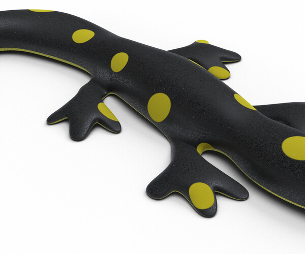 ArtStation - 3D Stuffed salamander toy | Resources
