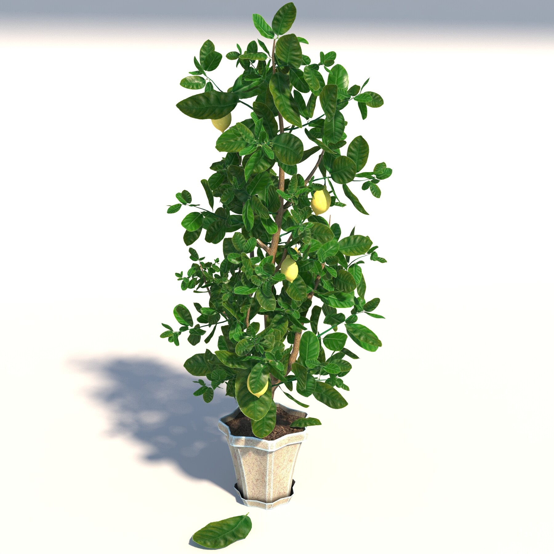 ArtStation - lemon tree | Game Assets