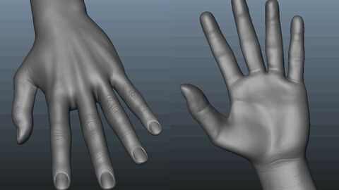 ArtStation - man hand | Resources