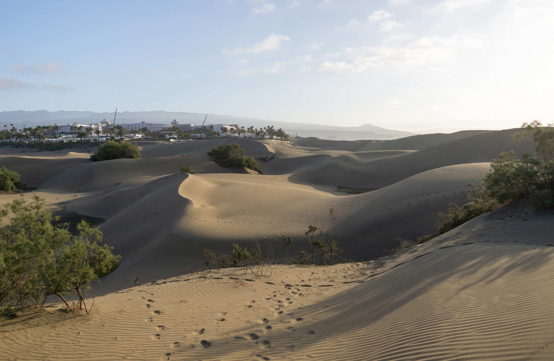 ArtStation - DESERT environment - 365 HIGH QUALITY photos, different ...