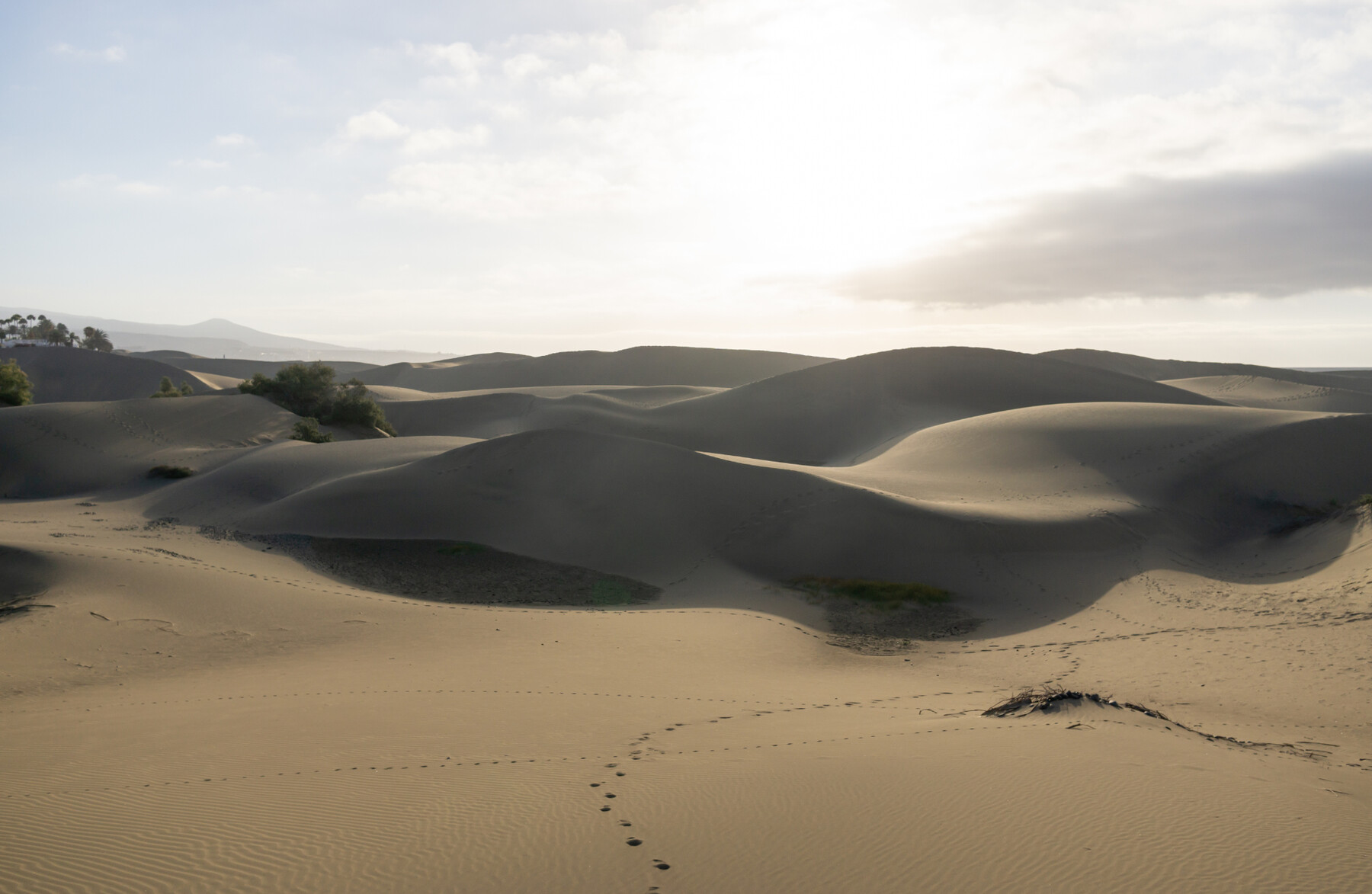 ArtStation - DESERT environment - 365 HIGH QUALITY photos, different ...