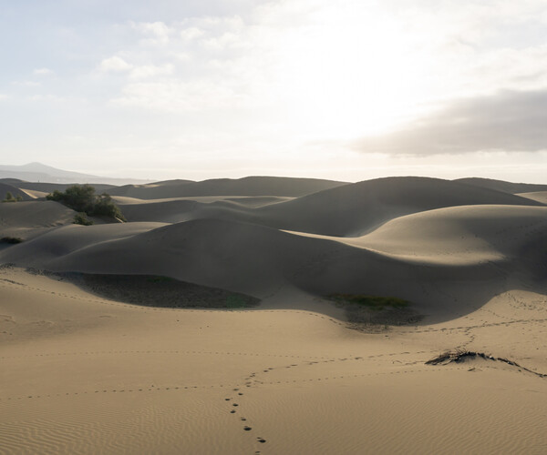 ArtStation - DESERT environment - 365 HIGH QUALITY photos, different ...