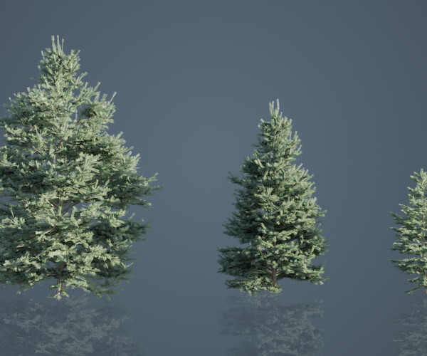 ArtStation - White Fir Trees | Game Assets