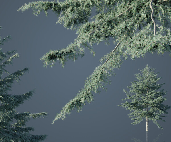 ArtStation - Deodar Cedar Trees | Game Assets