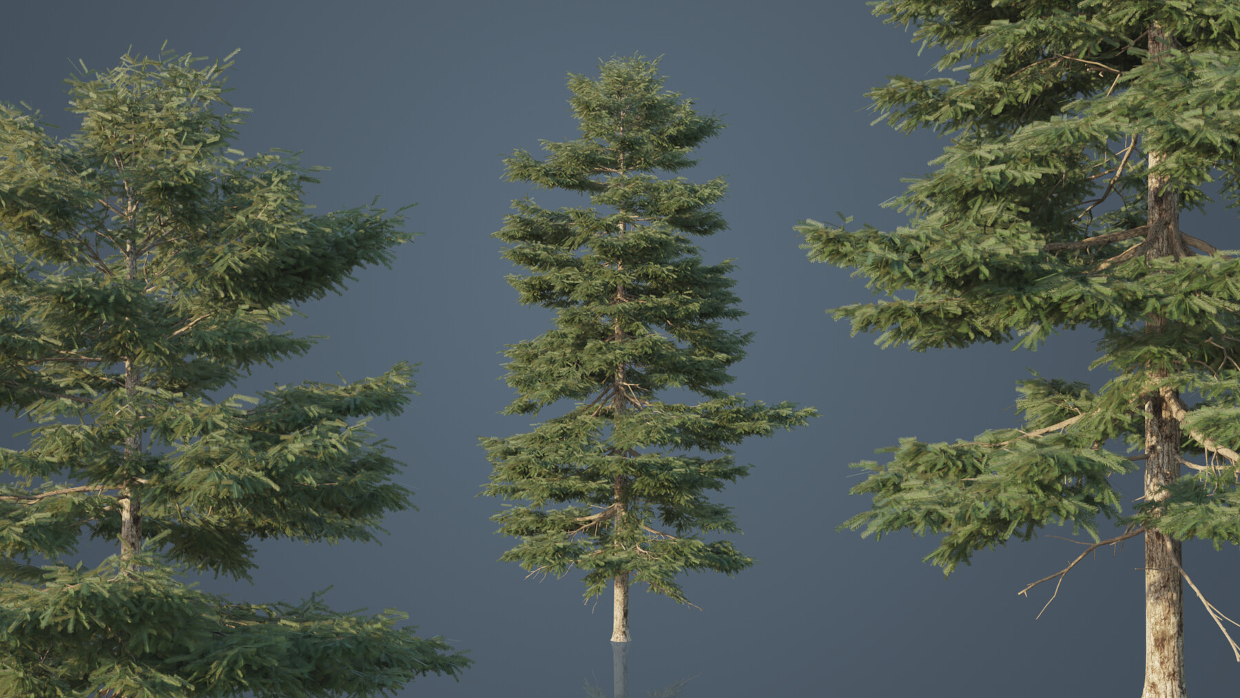 ArtStation - Red Spruce Trees | Game Assets