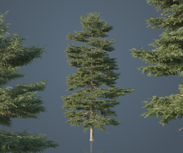 ArtStation - Red Spruce Trees | Game Assets