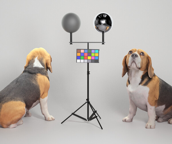 ArtStation - Beagle dog 18 | Game Assets