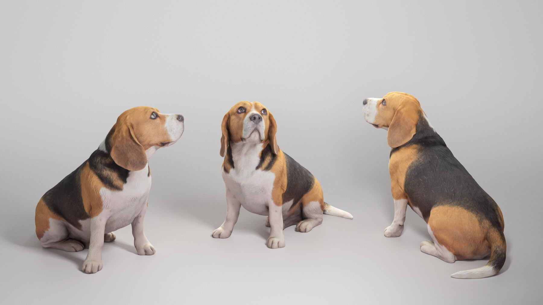 ArtStation - Beagle dog 18 | Game Assets