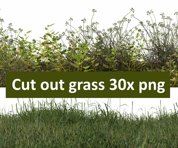 ArtStation - Cut out grass line 30x png | Resources