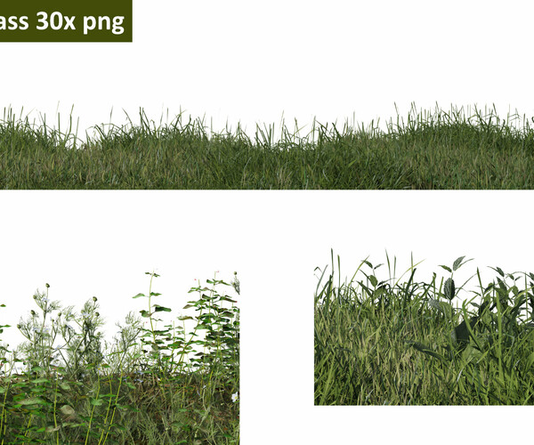 ArtStation - Cut out grass line 30x png | Resources