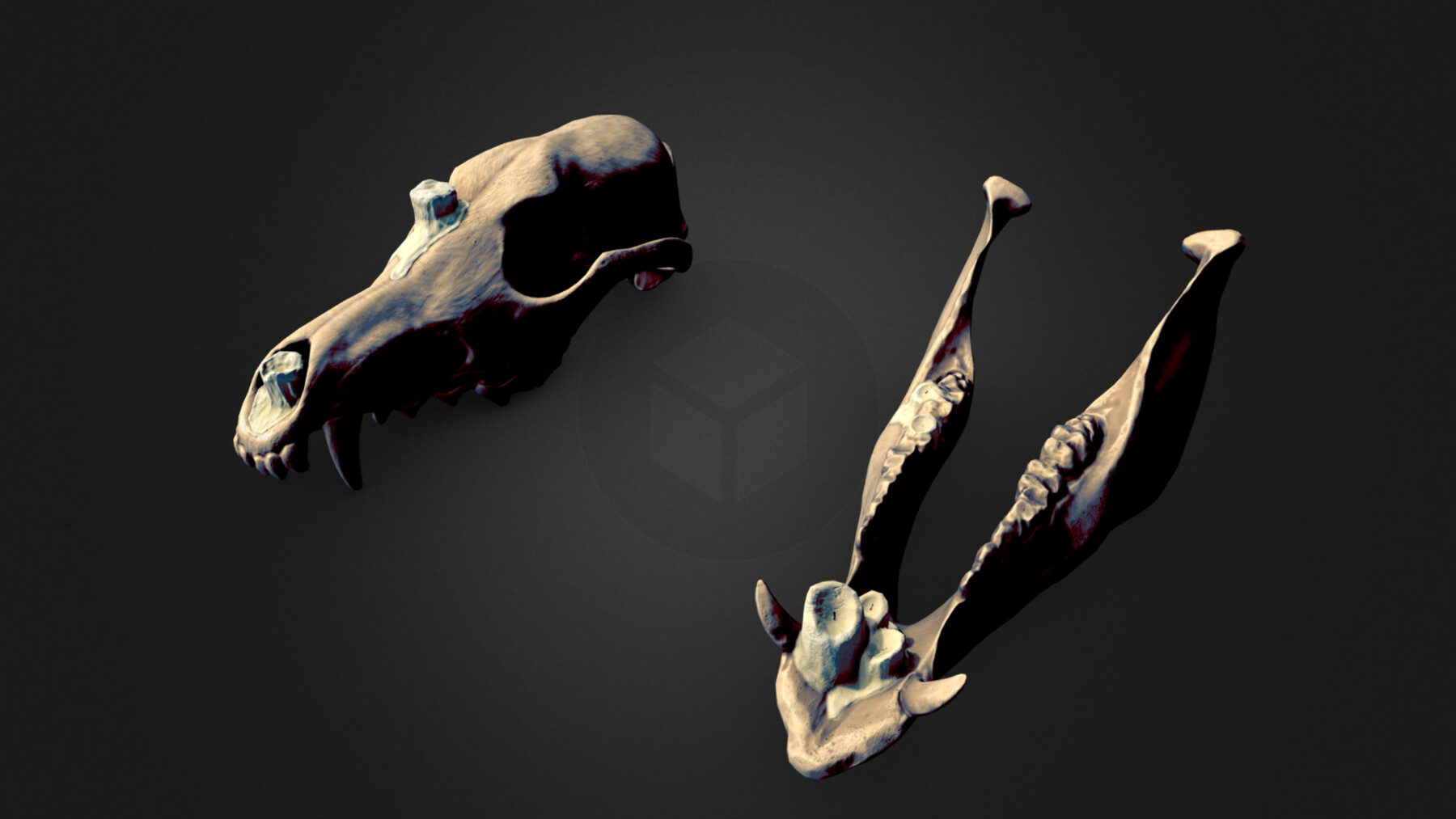 ArtStation - Stylized Skull / Jaw | Resources