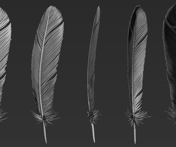 ArtStation - Feather 3D model | Resources