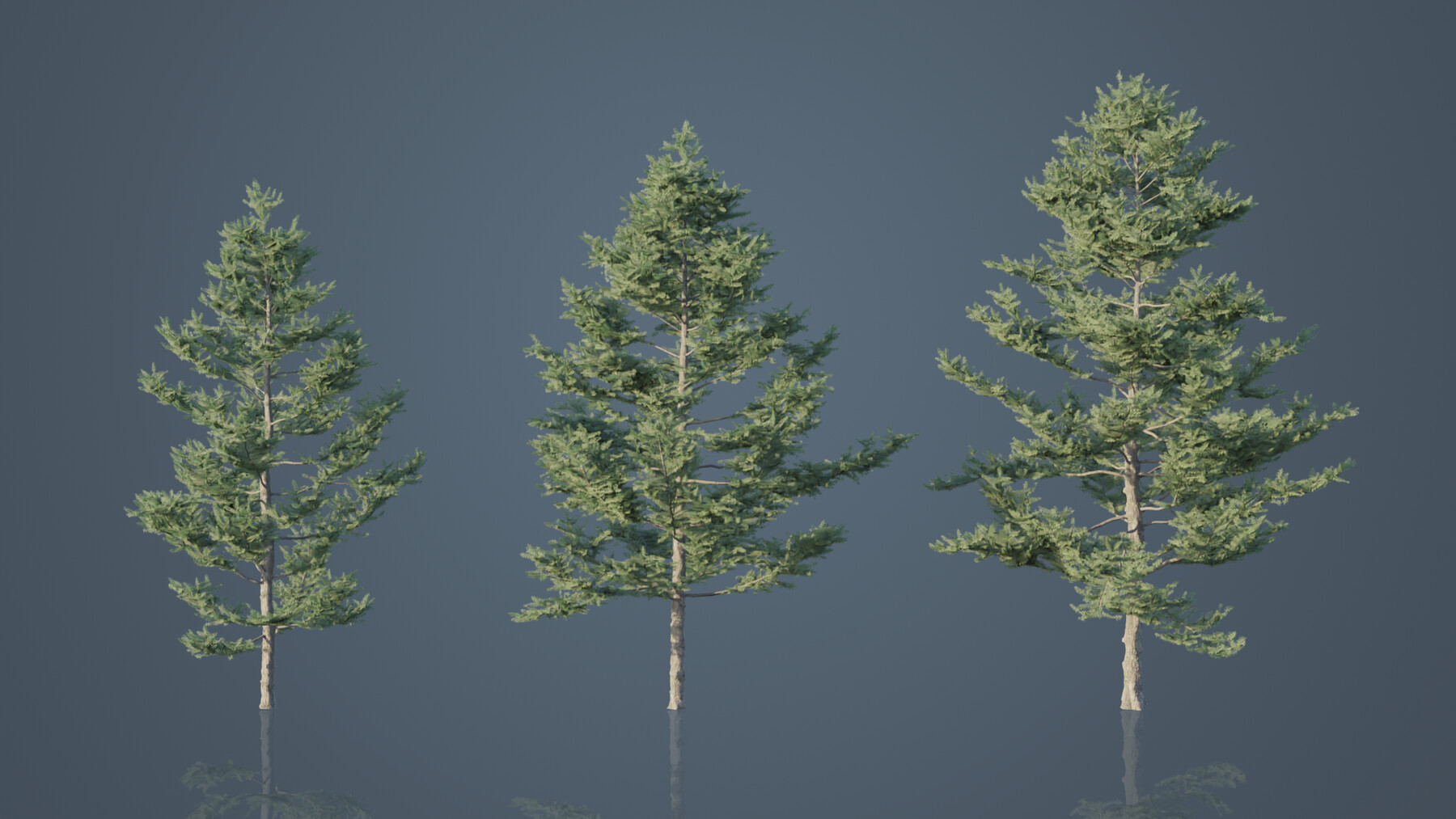 ArtStation - Japanese White Larch Trees | Game Assets