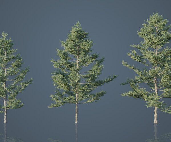 ArtStation - Japanese White Larch Trees | Game Assets