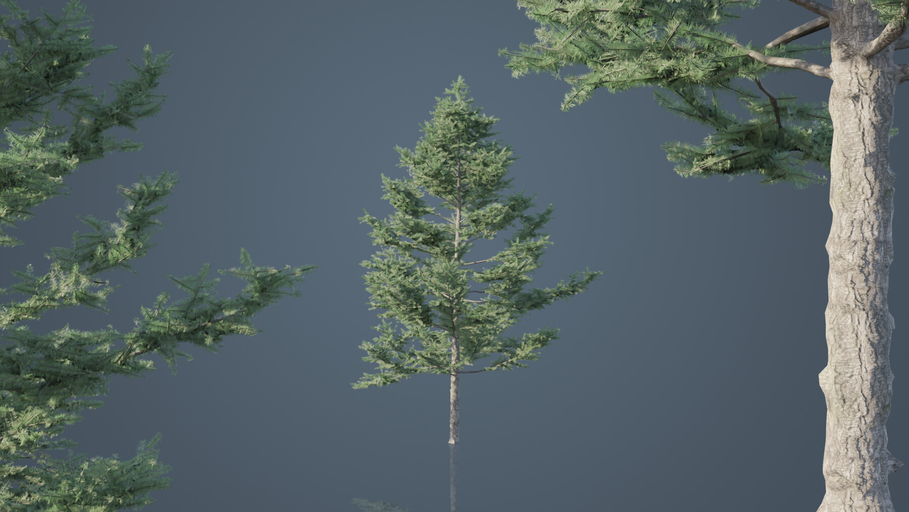 ArtStation - Japanese White Larch Trees | Game Assets