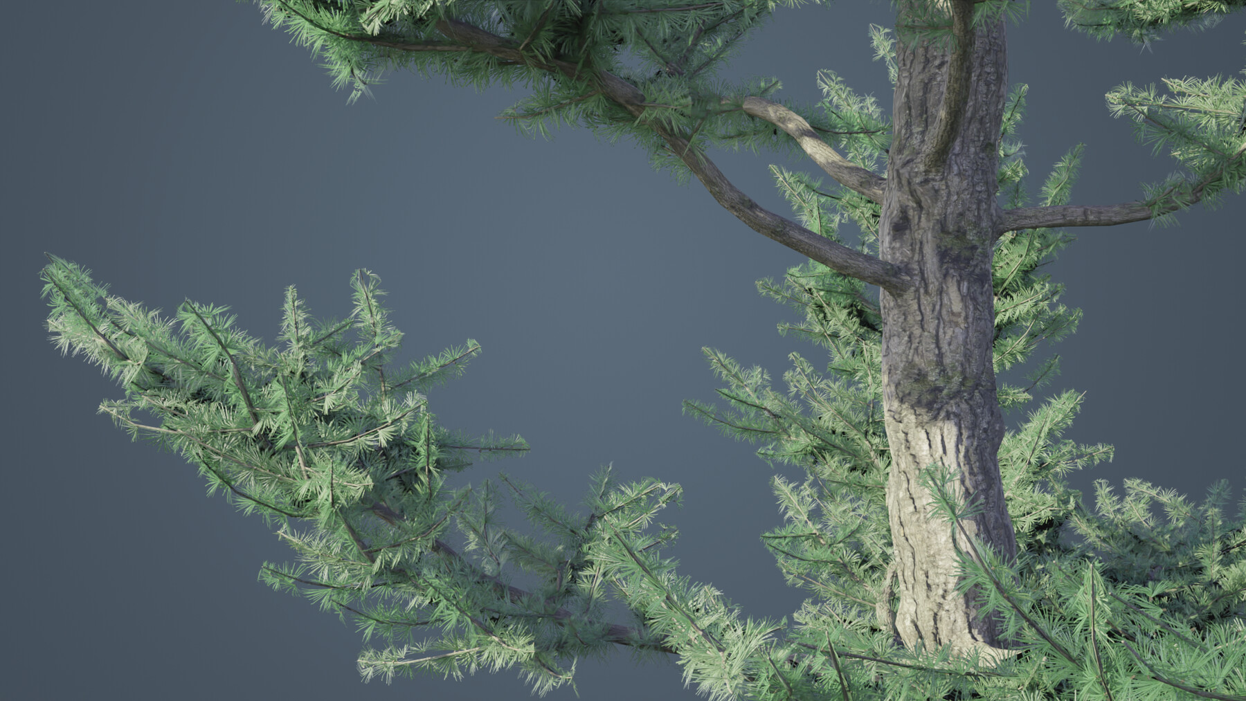 ArtStation - Japanese White Larch Trees | Game Assets