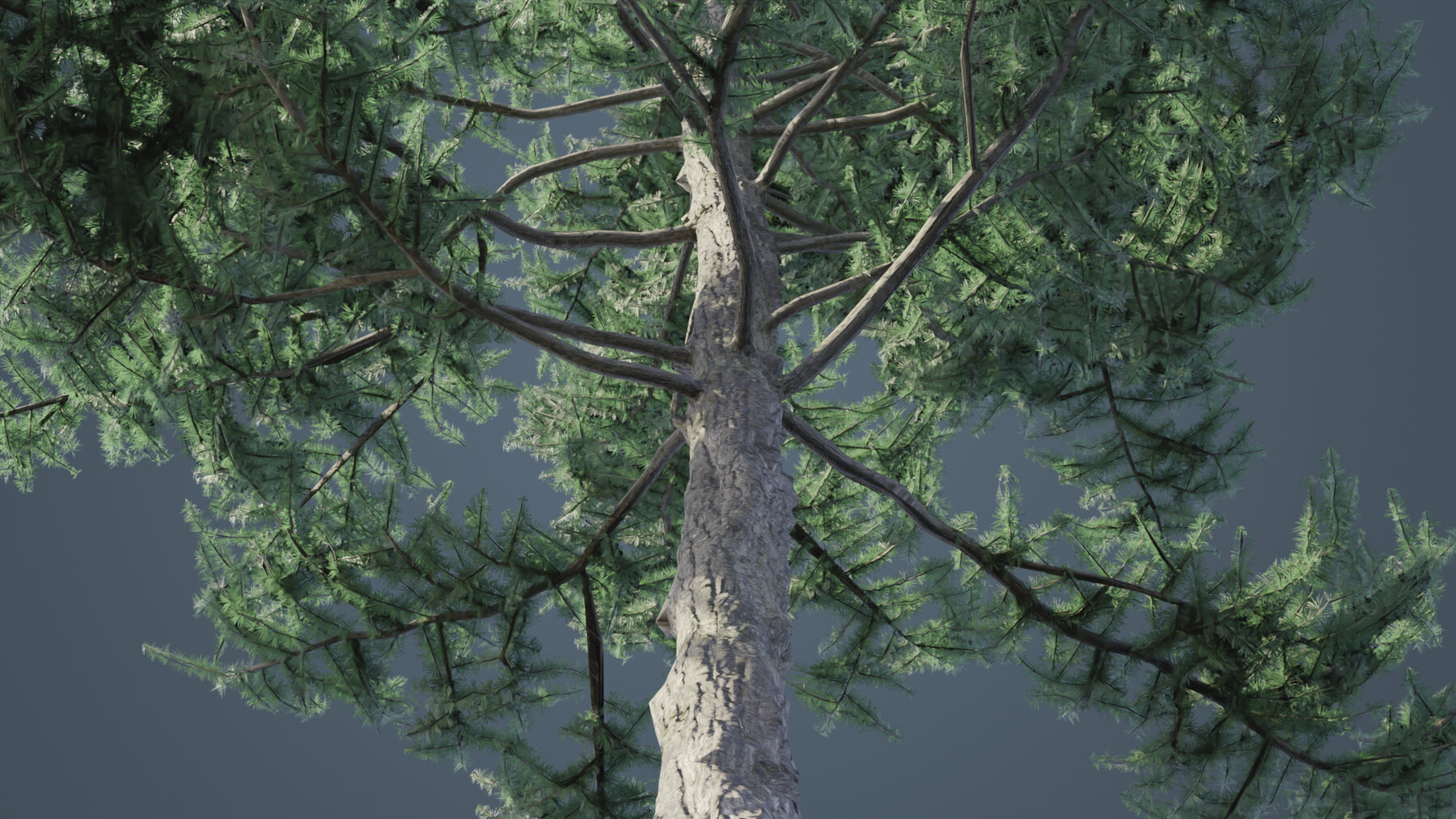 ArtStation - Japanese White Larch Trees | Game Assets
