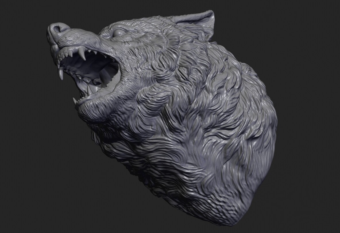 ArtStation - Wolf face head | Resources