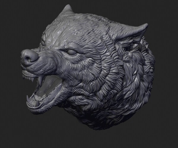 ArtStation - Wolf face head | Resources