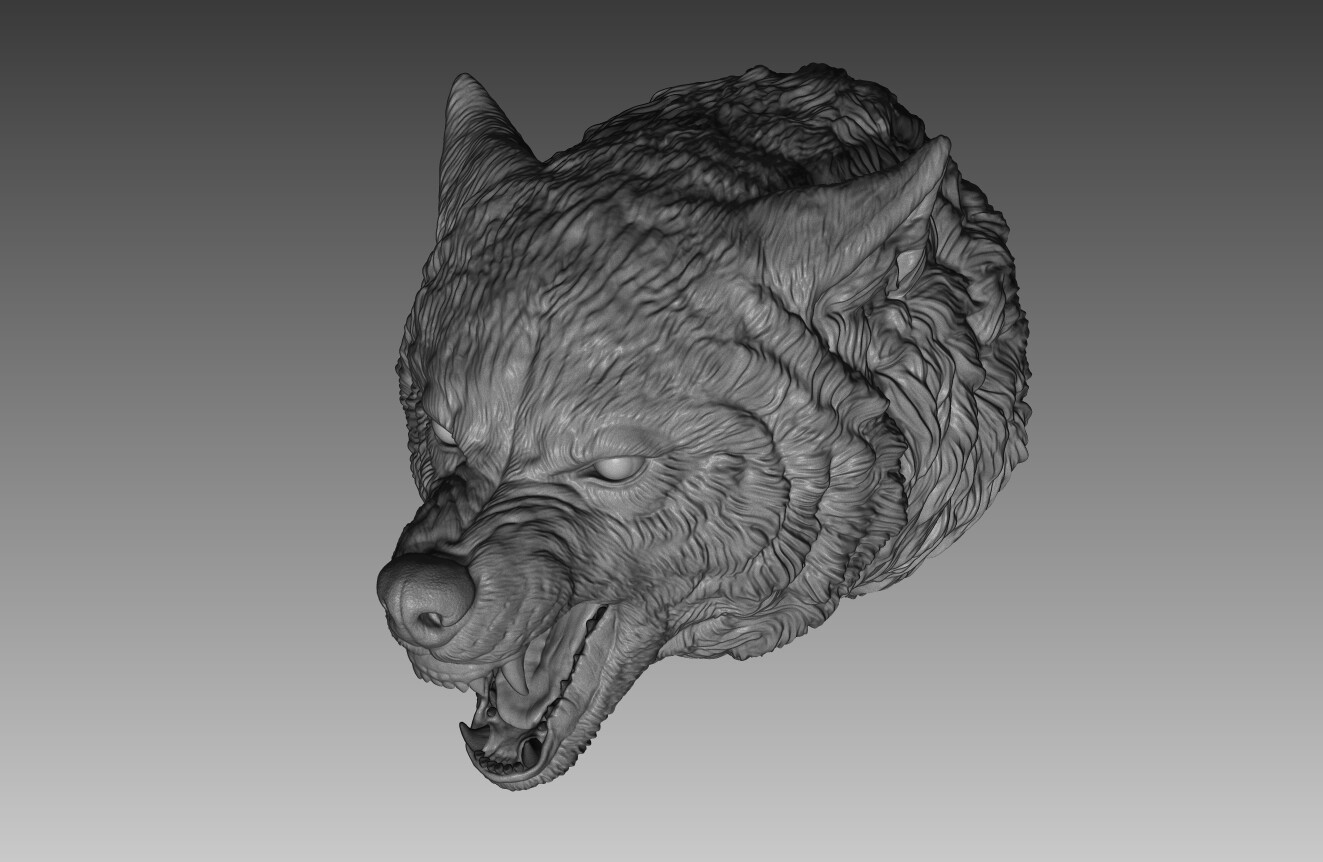 ArtStation - Wolf face head | Resources