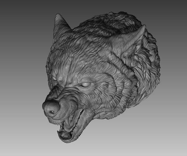 ArtStation - Wolf face head | Resources
