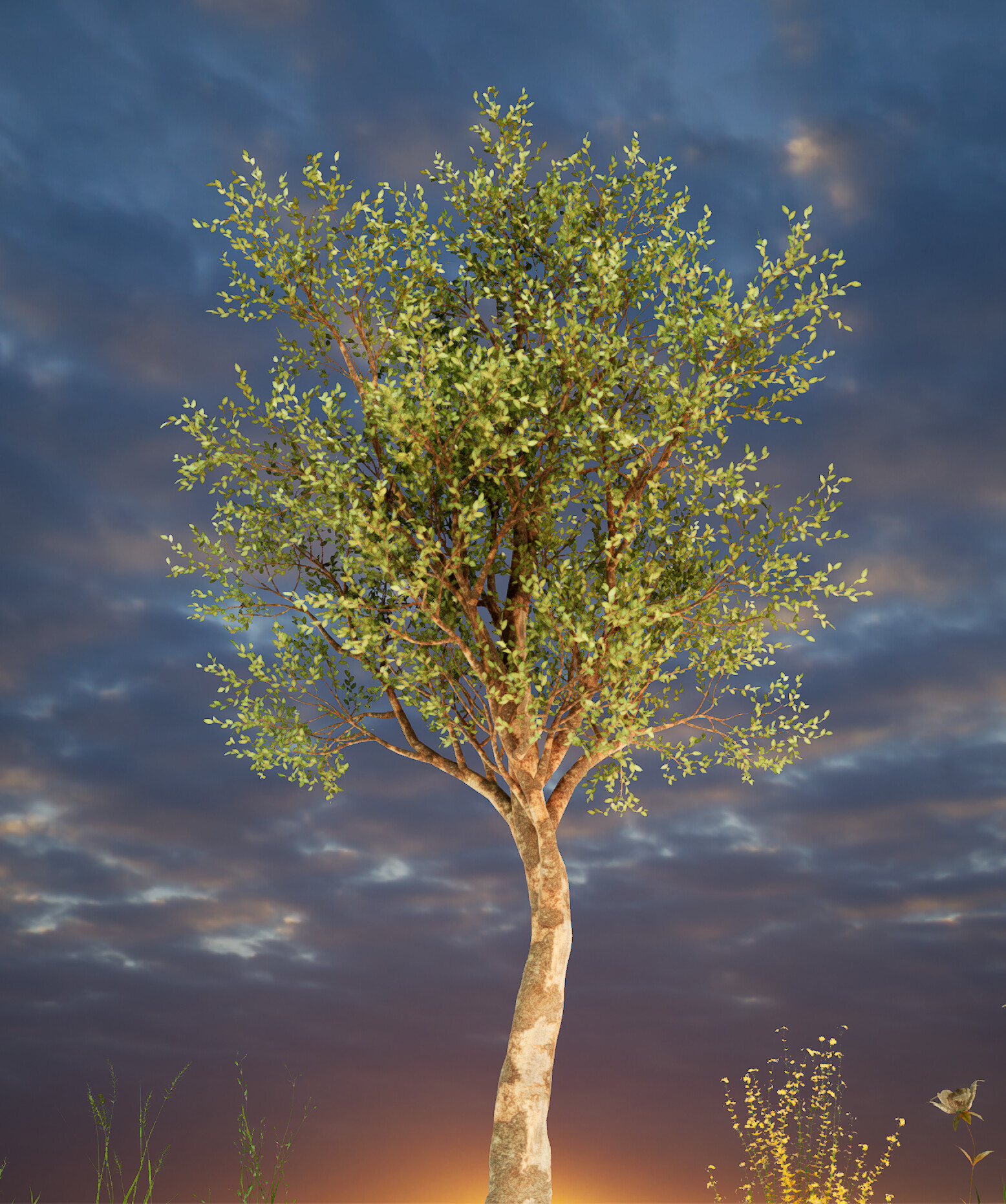 ArtStation - UE5/4 Cinematic Trees pack 01 | Game Assets