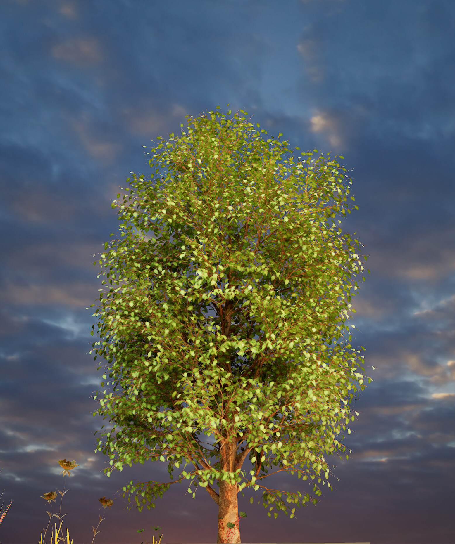 ArtStation - UE5/4 Cinematic Trees pack 01 | Game Assets