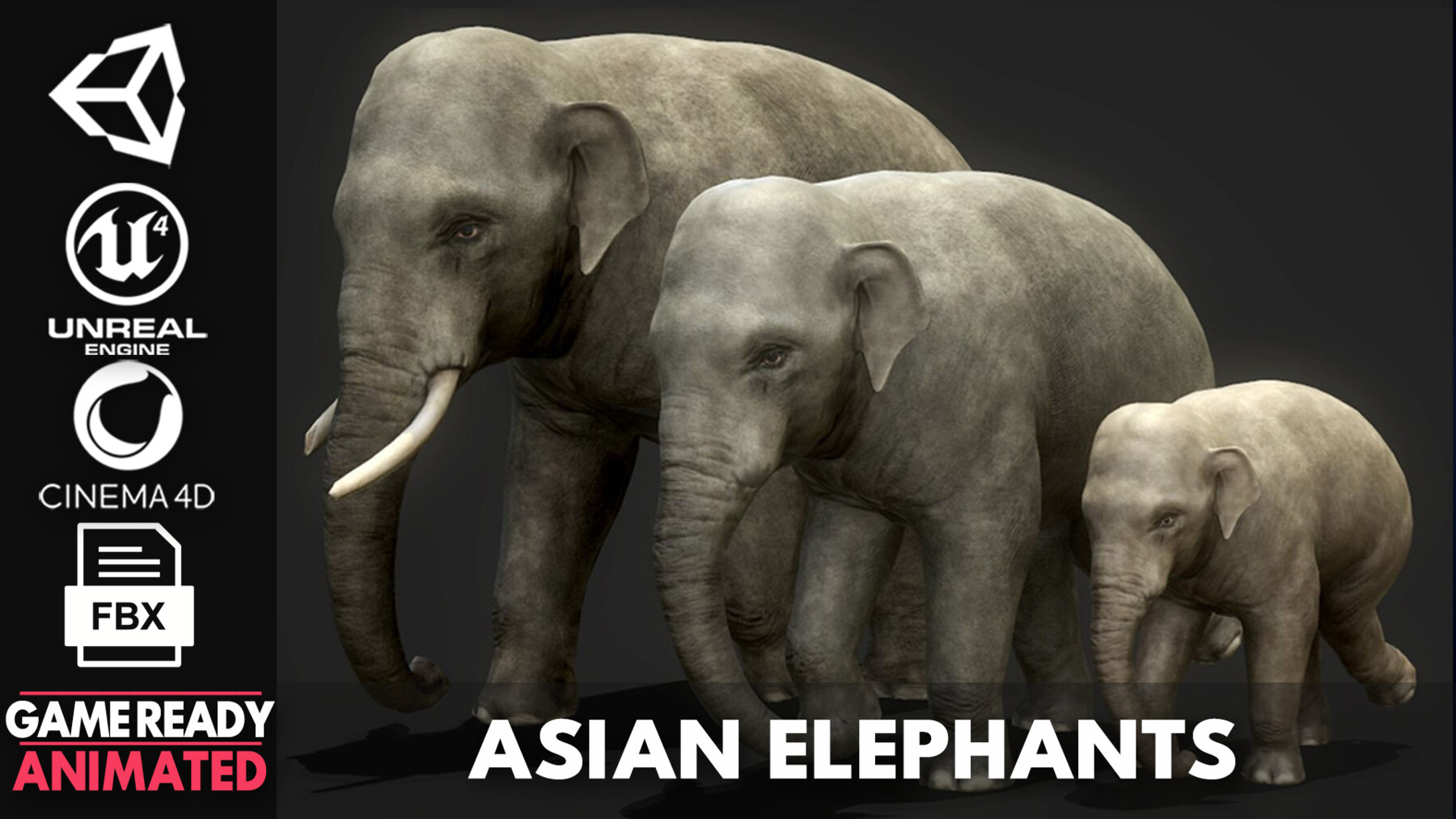 ArtStation - Asian Elephants - Game Ready | Game Assets
