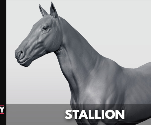 ArtStation - Realistic Horse - Sculpt | Resources
