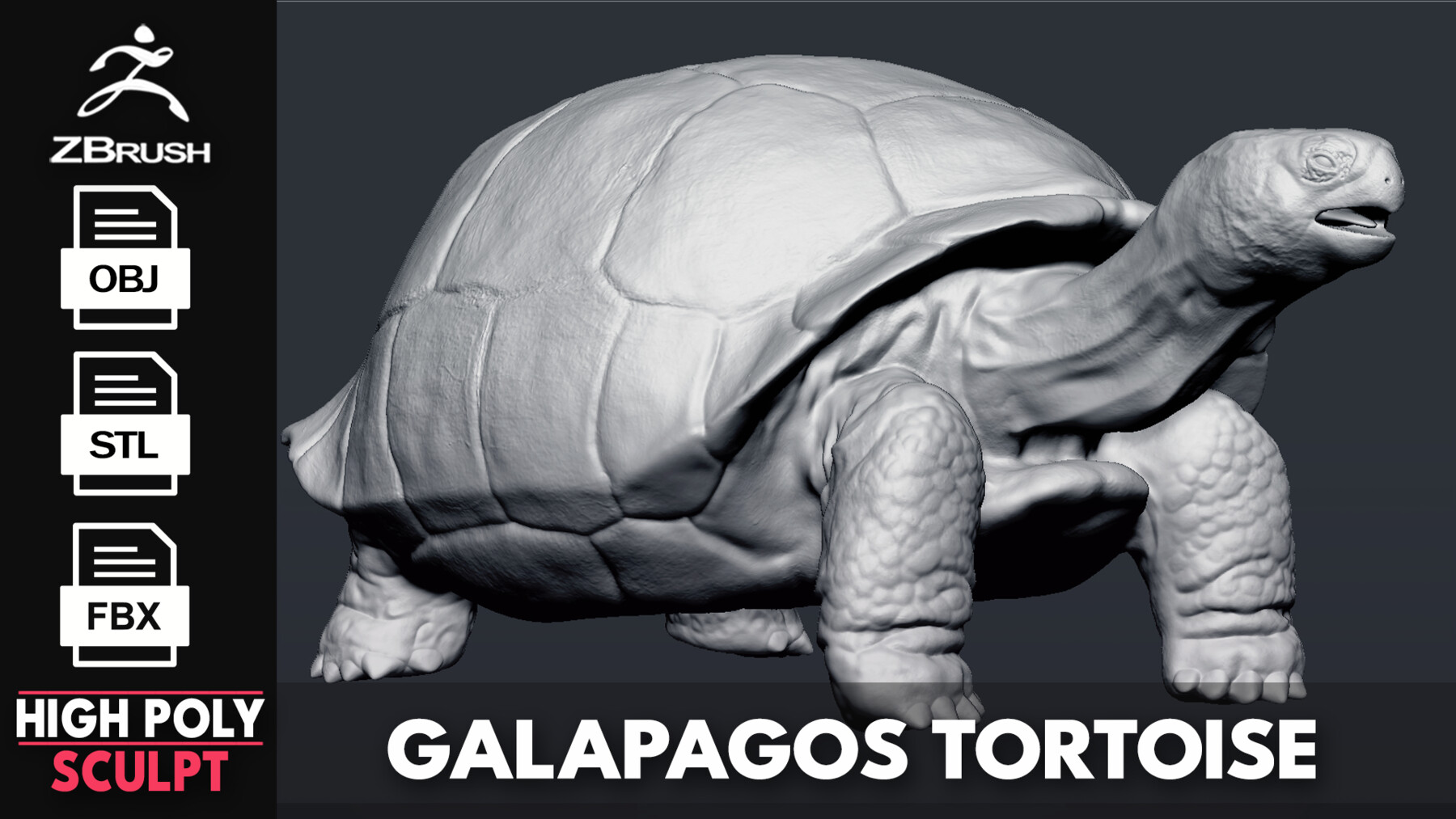 ArtStation - Galapagos Tortoise - Sculpt | Game Assets