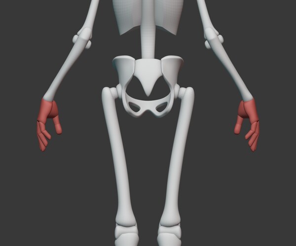 ArtStation - Stylized Female Anatomy | Resources