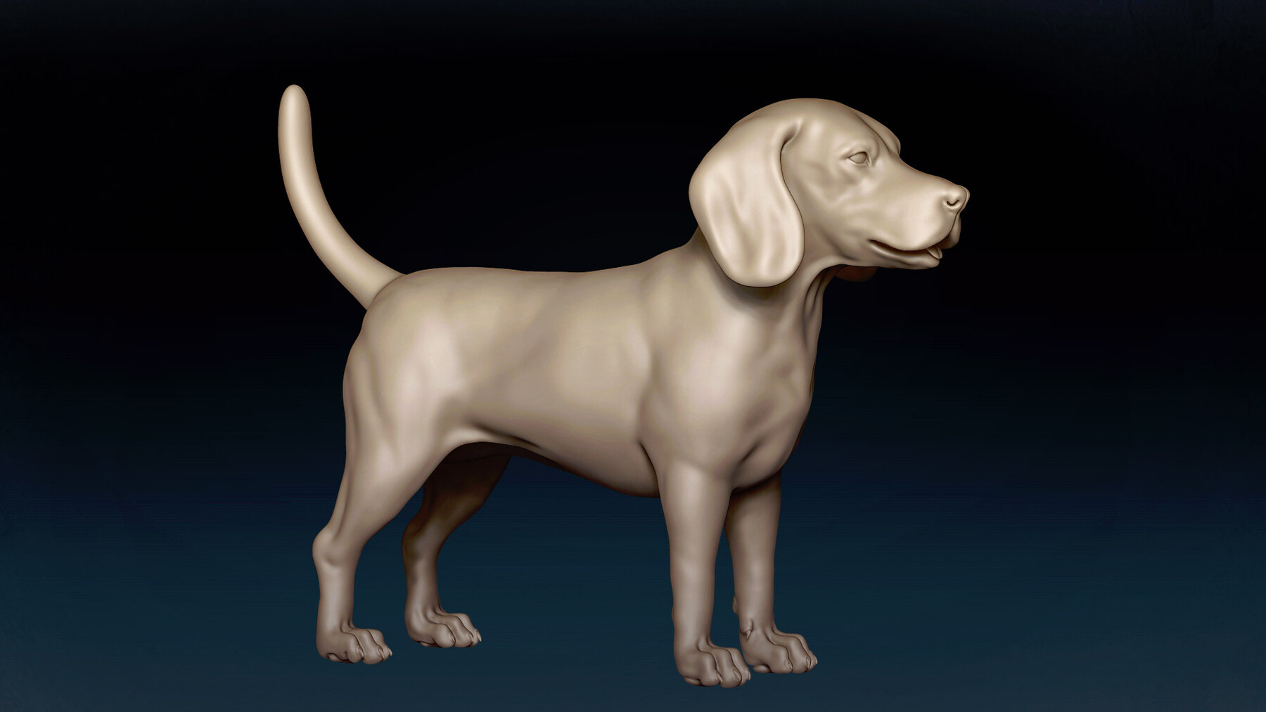 ArtStation - Beagle Basemesh 3D model | Resources