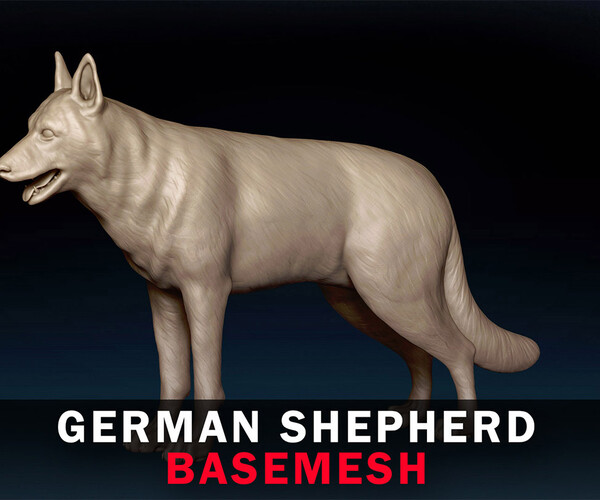 ArtStation - German Shepherd Basemesh 3D model | Resources