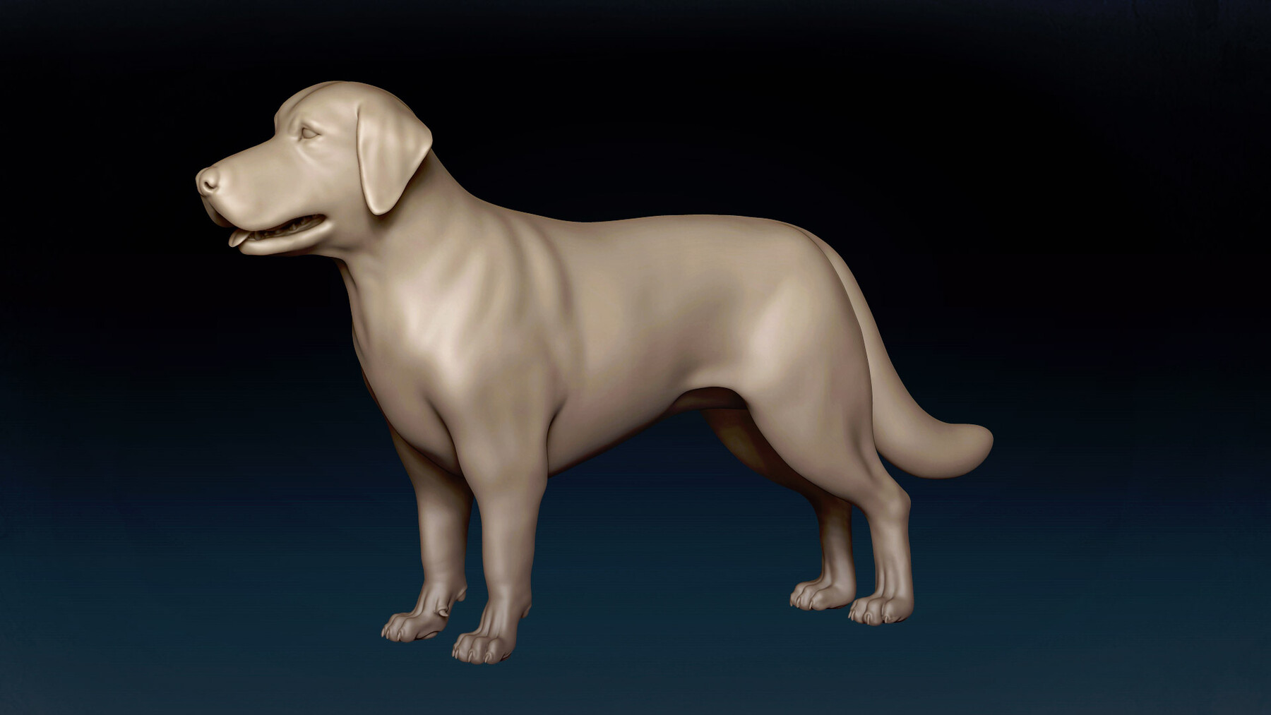ArtStation - Labrador Retriever Basemesh 3D model | Resources